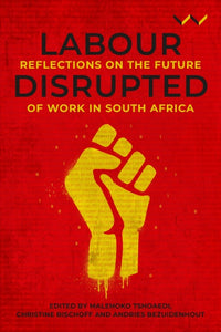 Labour Disrupted Reflections on the future of work in South Africa by ...